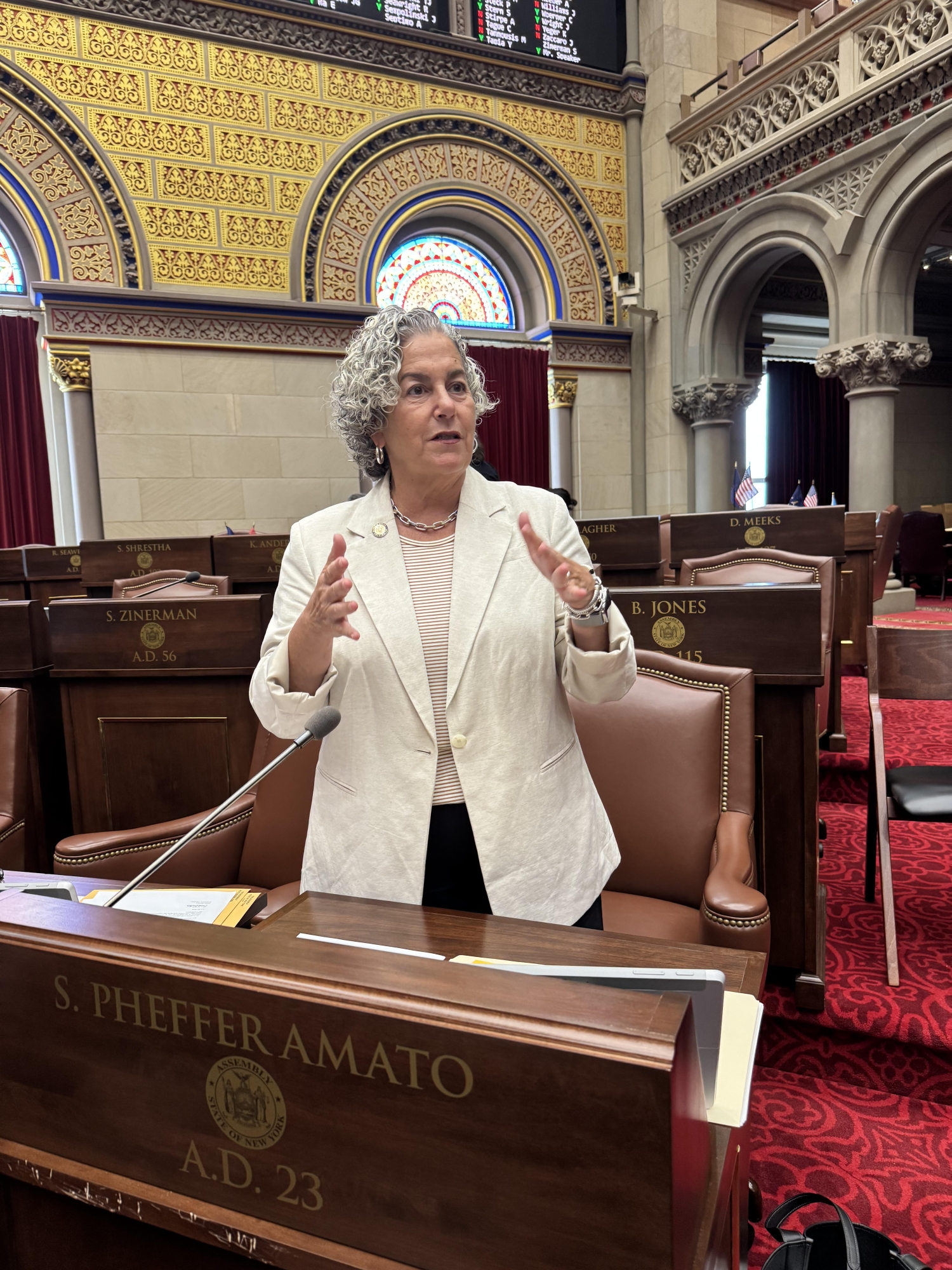 Stacey Pheffer Amato - Assembly District 23 |Assembly Member Directory ...